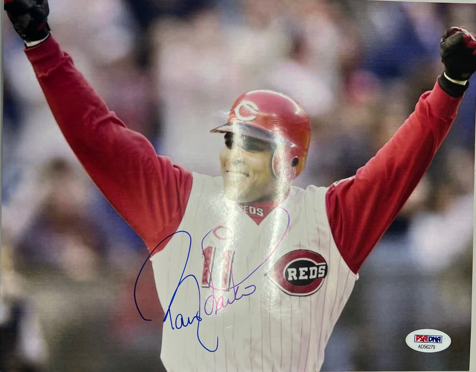 Cincinnati Reds Barry Larkin Signed 8x10 with PSA COA – Dazzle Sports ...