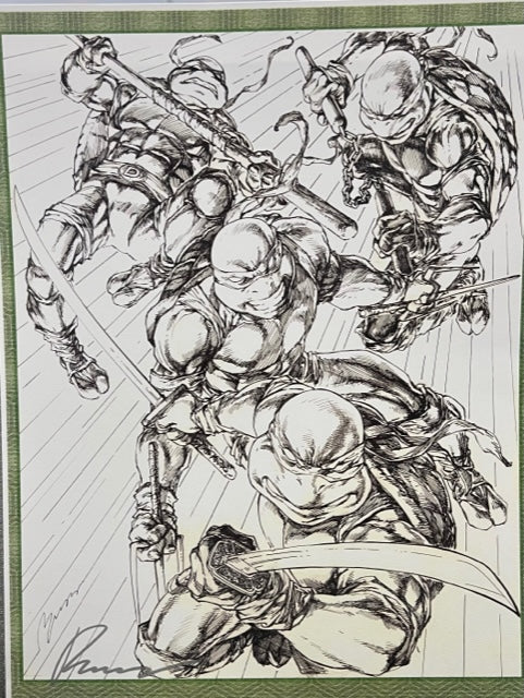 Aldrin Aw "Buzz" Signed Comic Ninja Turtles – Dazzle Sports Marketing